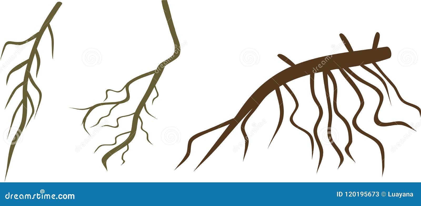 Root Silhouettes on White Background Stock Vector - Illustration of ...