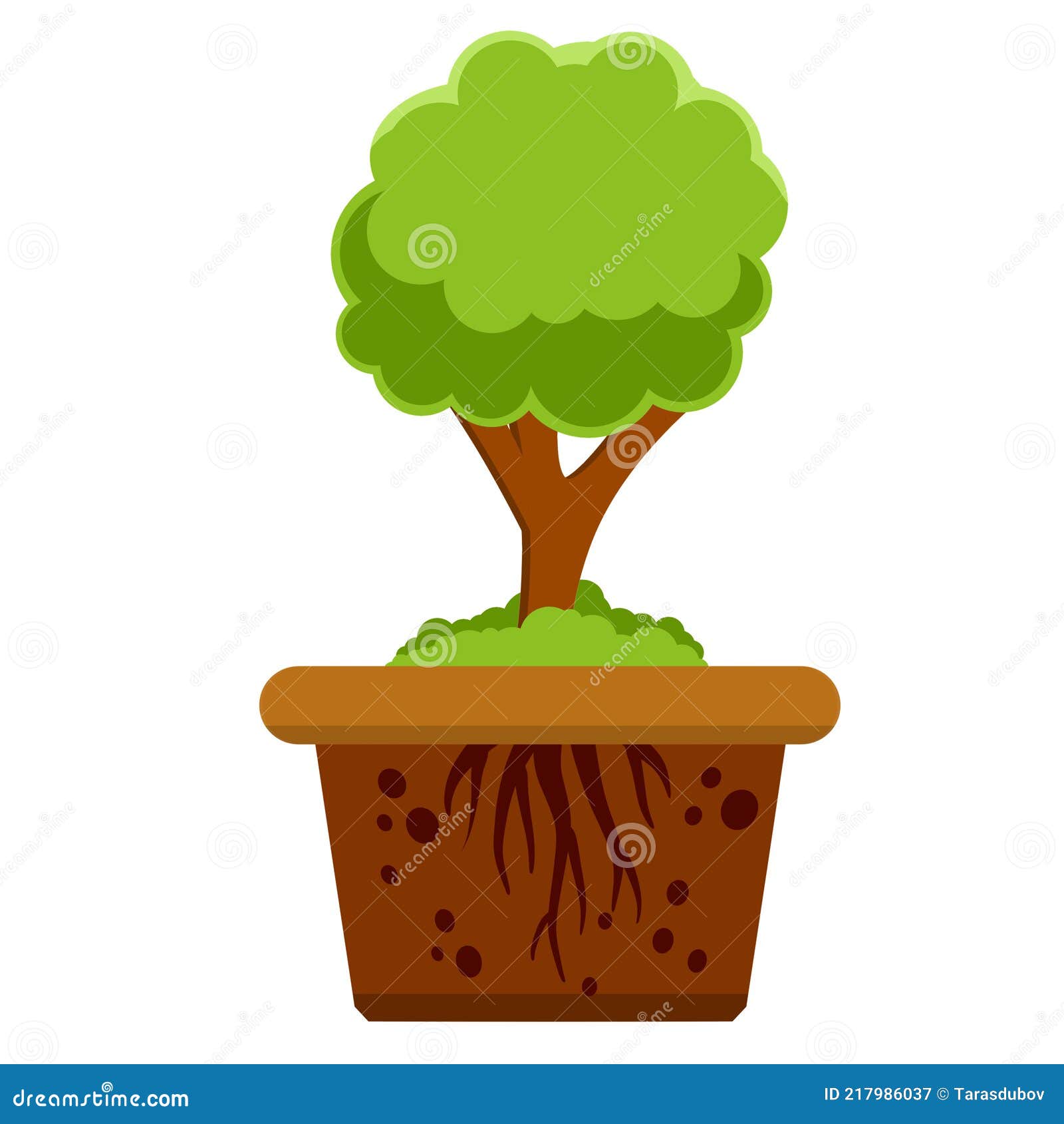 Root System of Tree. Nature and Forest. Layer of Earth and Soil Stock ...