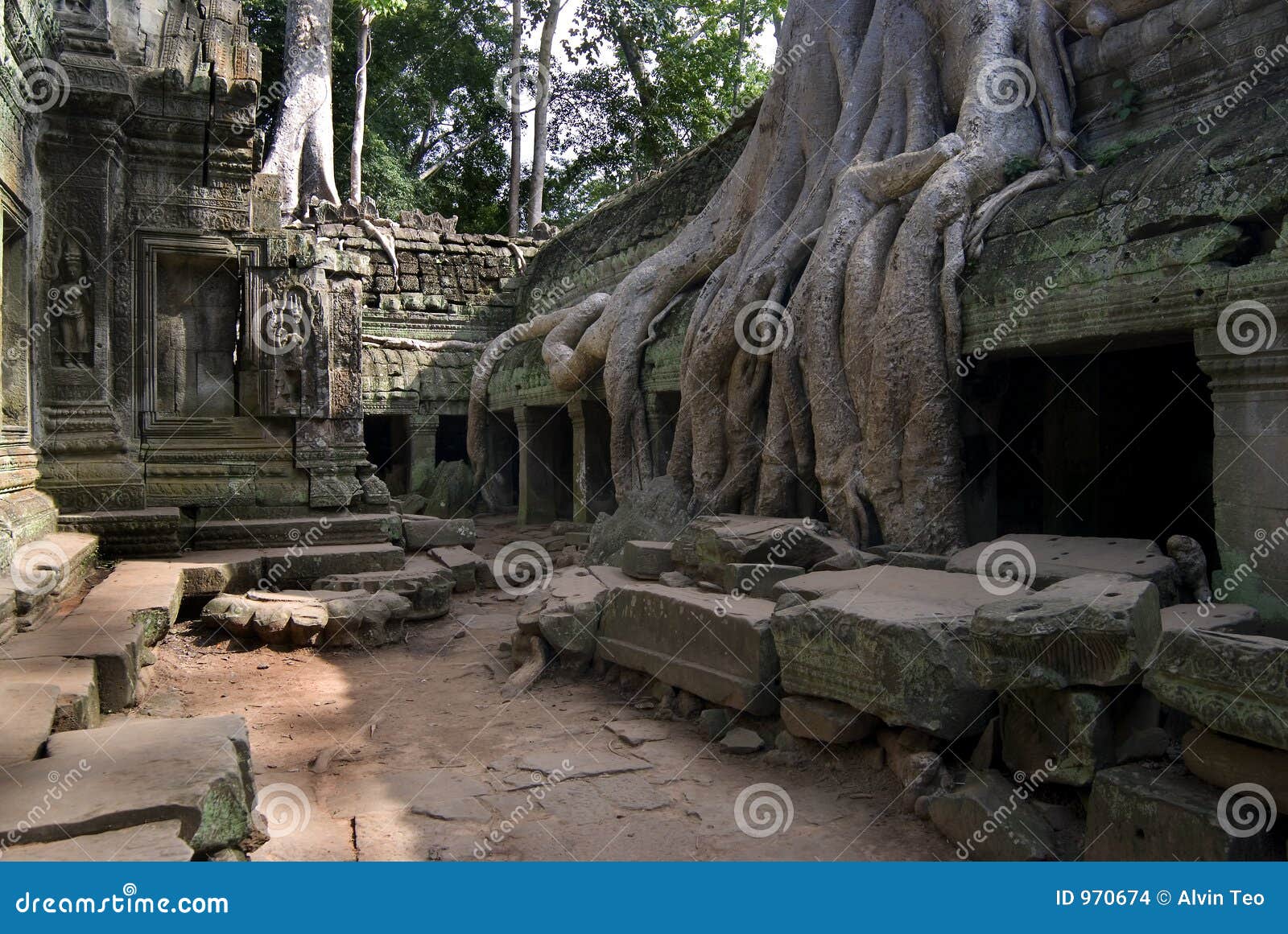 Root and Temple stock photo. Image of mahayana, ancient - 970674