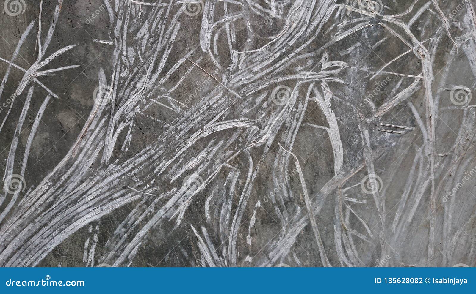 Root Texture on the Wall Photo Stock Photo - Image of rough, popular ...