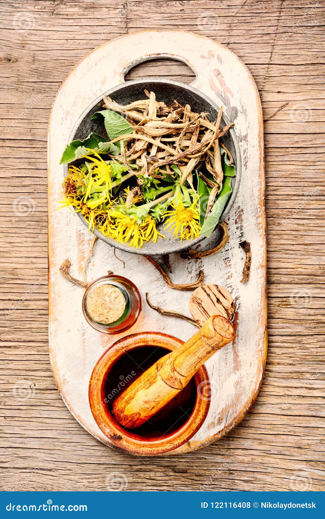 Root and Tincture of Elecampane Stock Photo - Image of fresh ...