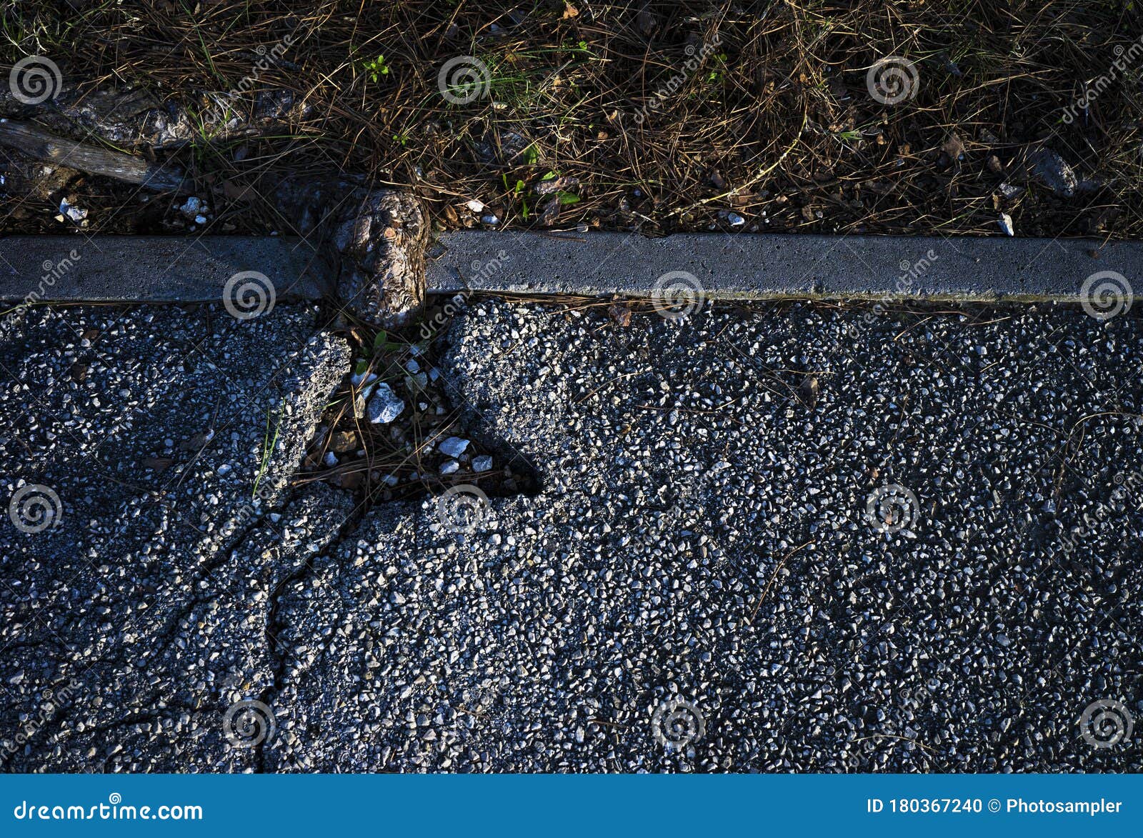 Root from a Tree is Breaking the Asphalt Stock Photo - Image of goal ...