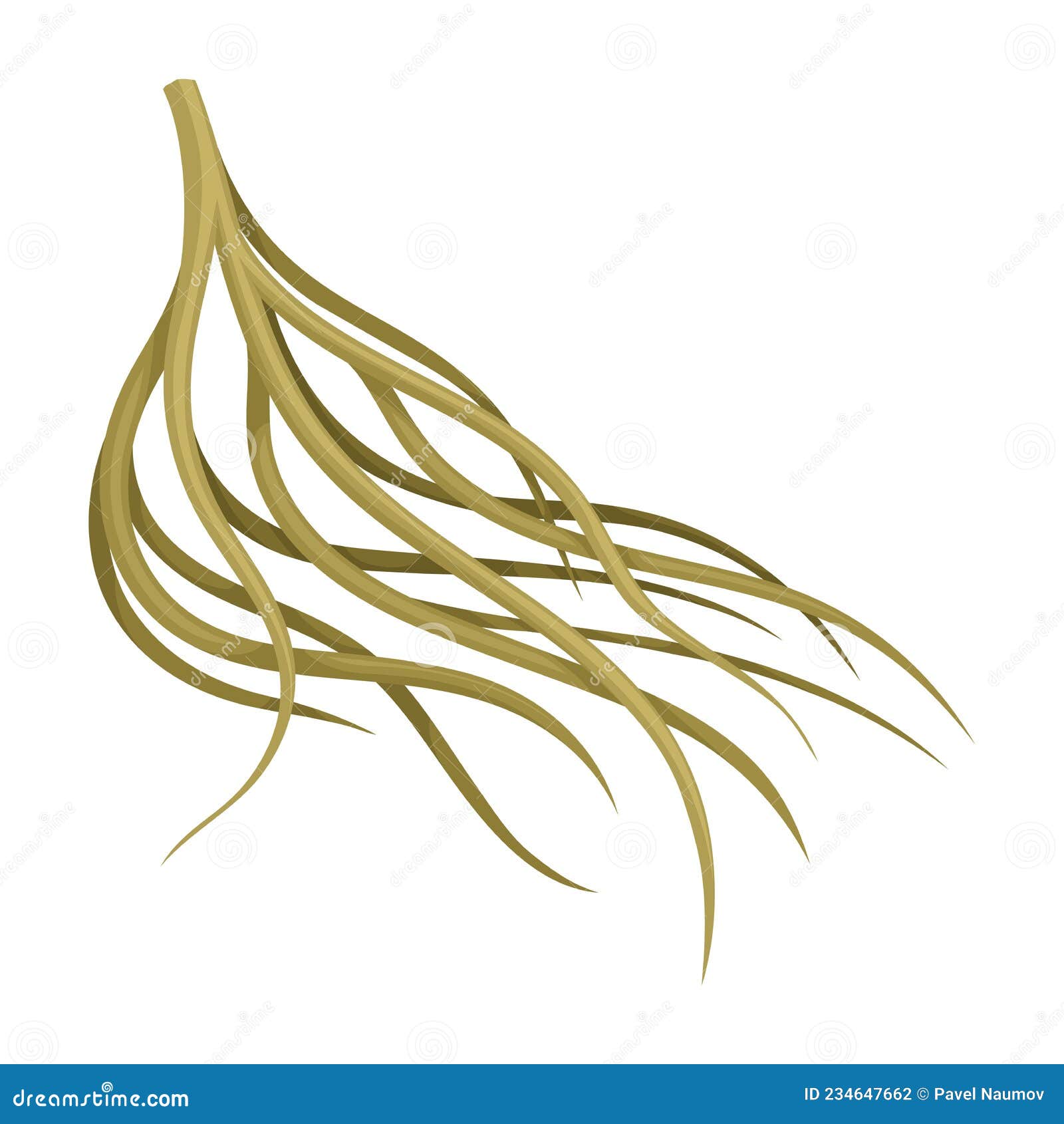 Tree Underground Roots Vector. Plant Underground Roots Set. Tree Root ...