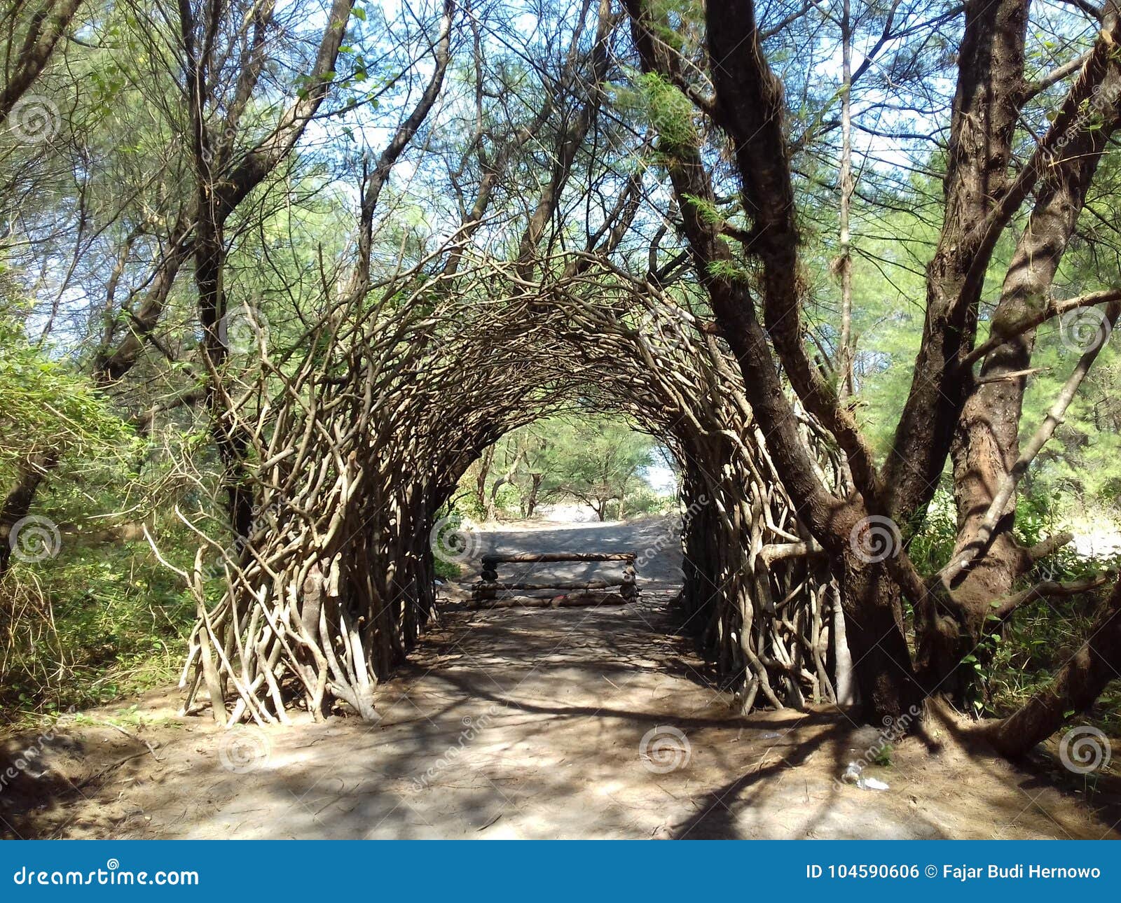 Root tunnel stock photo. Image of root, beach, yogyakarta - 104590606