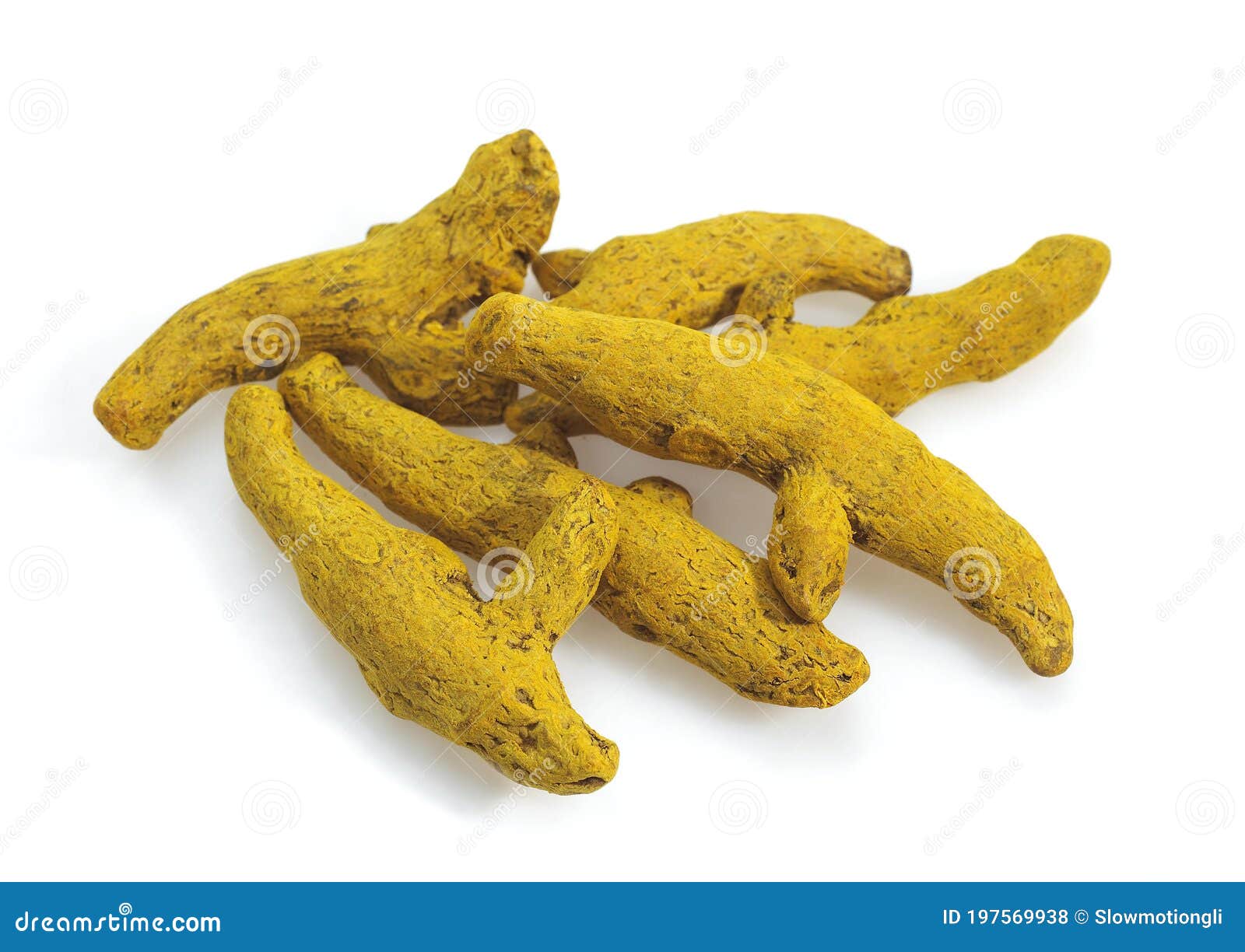 Root of Turmeric, Curcuma Longa, an Indian Spice Against White ...