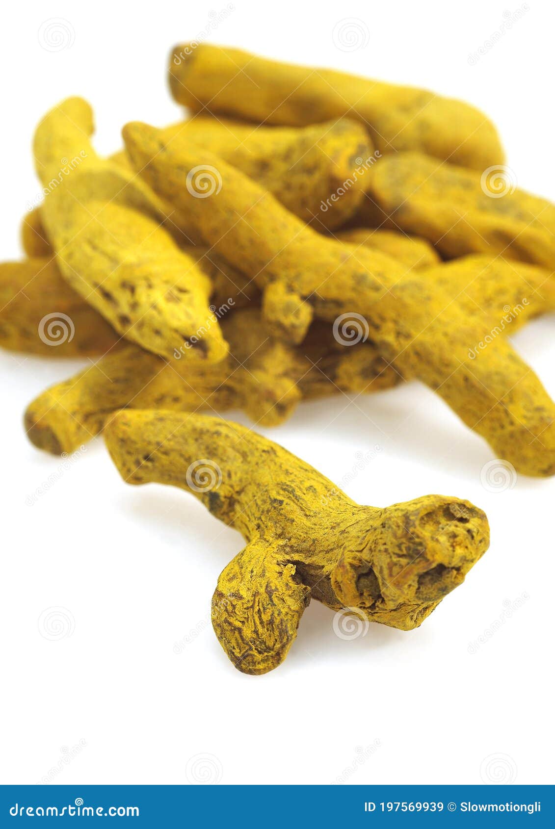 Root of Turmeric, Curcuma Longa, an Indian Spice Against White ...