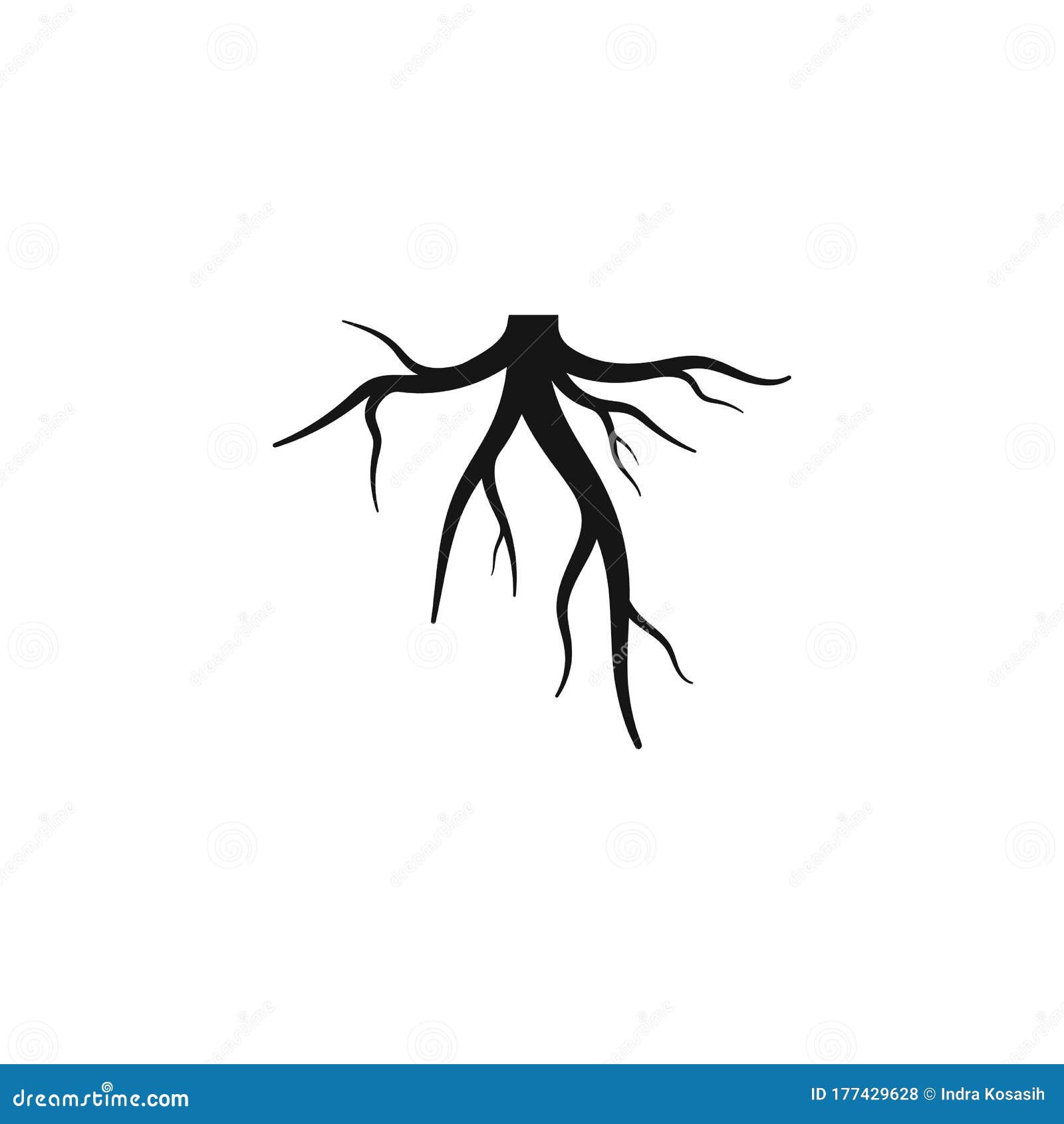 Root Vector Illustration Template Stock Vector - Illustration of ...