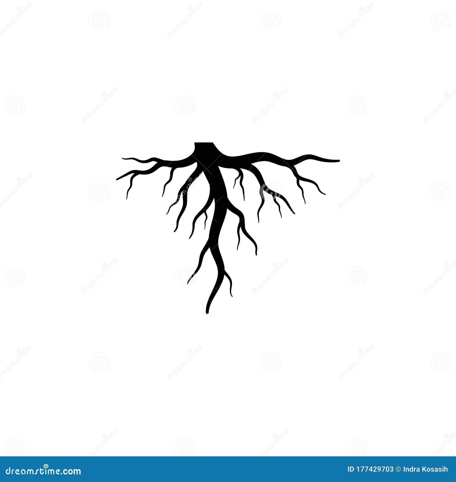 Root Vector Illustration Template Stock Vector - Illustration of ...
