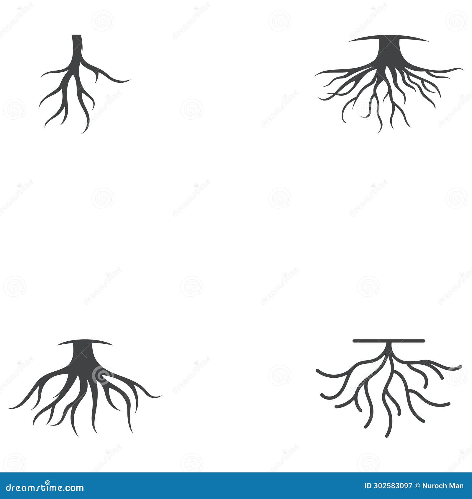 Root Vector Illustration Template Design Stock Vector - Illustration of ...
