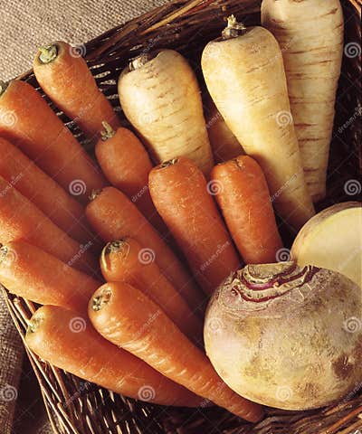 Root vegetables stock image. Image of organic, food, cooking - 1547497