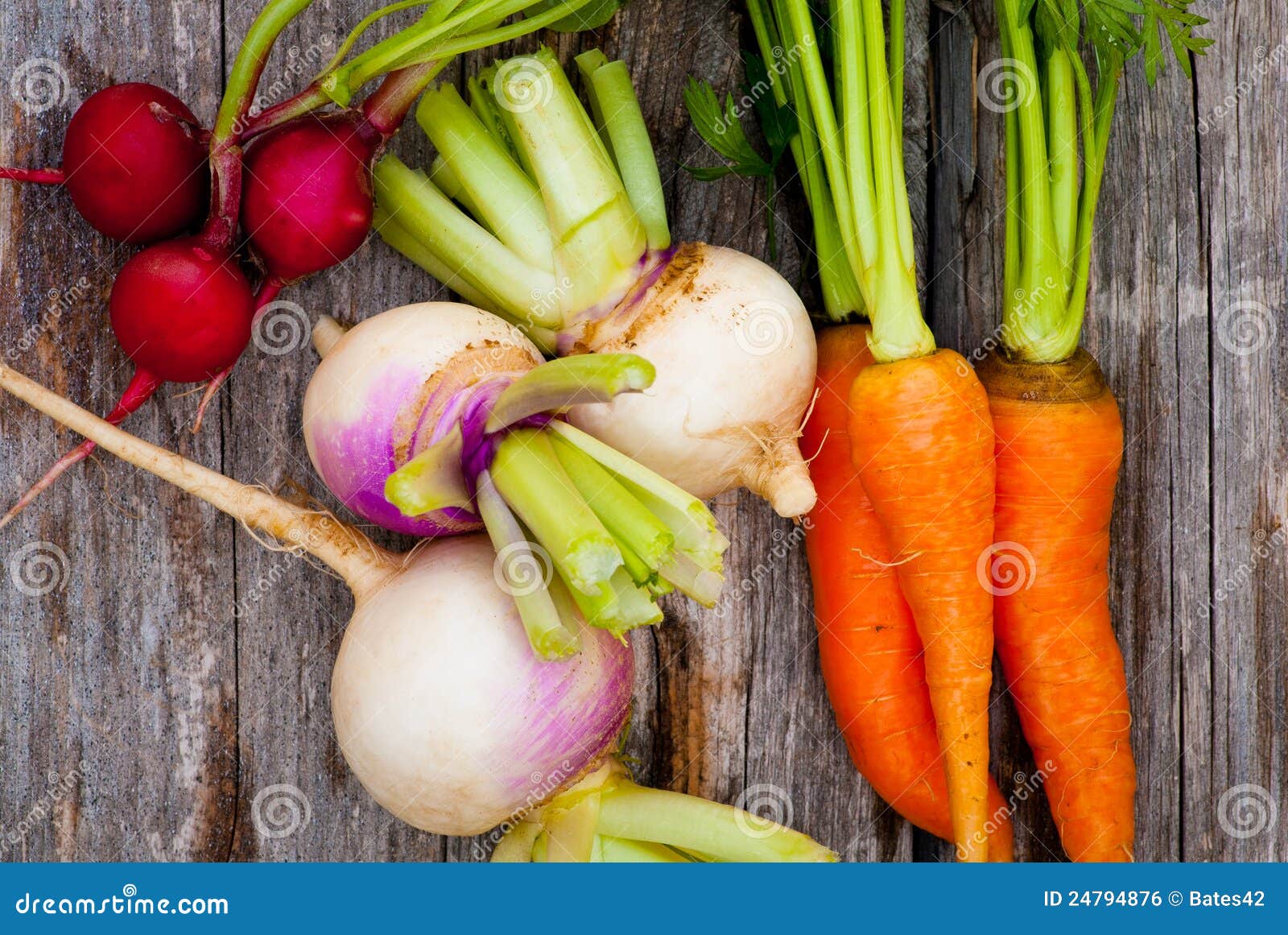 Root Vegetables stock photo. Image of healthy, green - 24794876