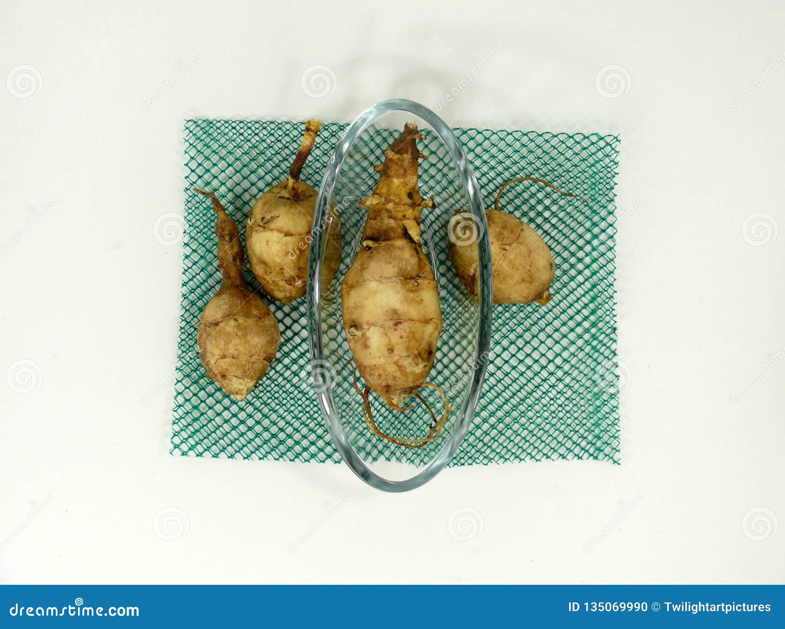 Root Vegetables, Jerusalem Artichoke Stock Photo - Image of artichoke ...