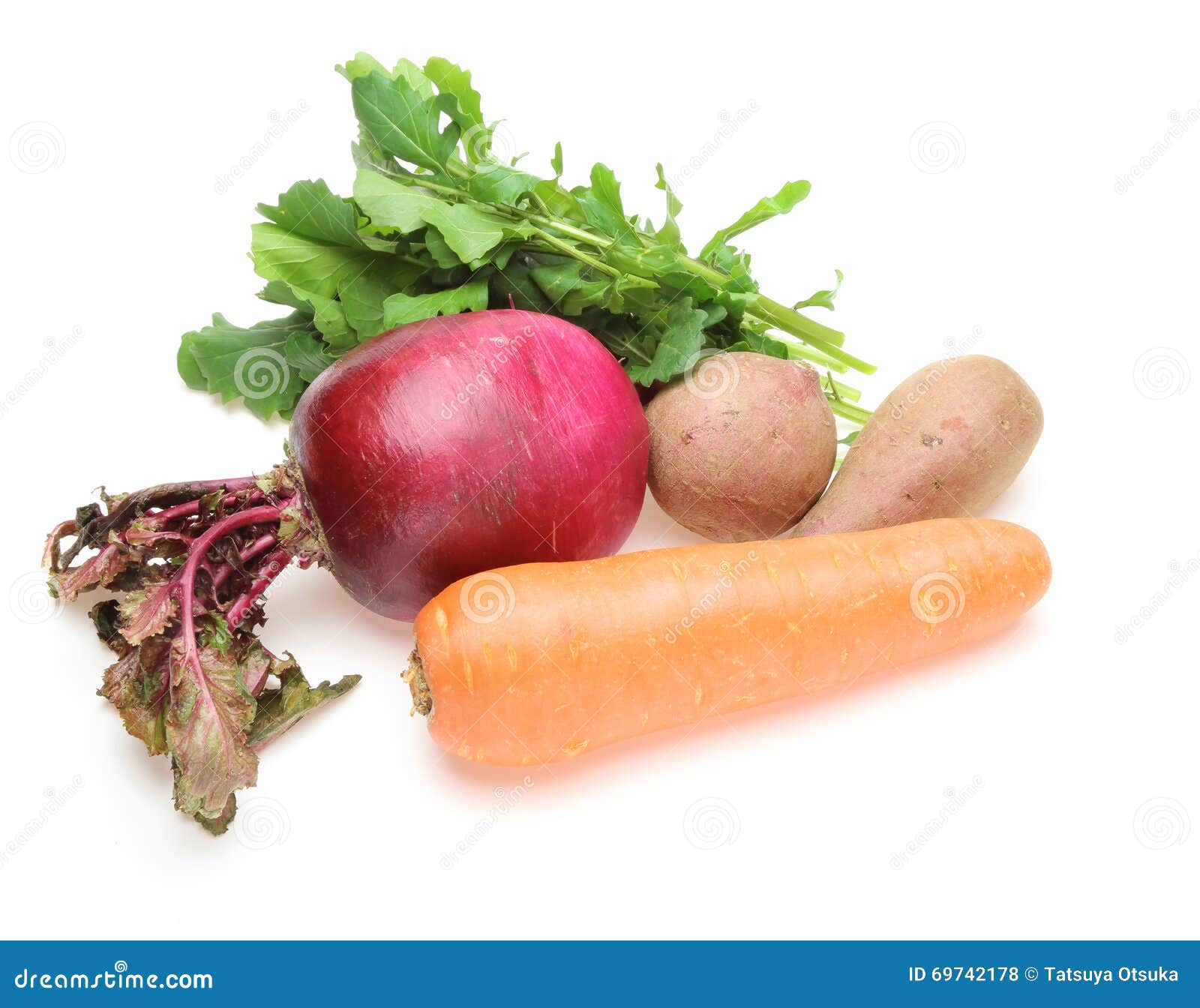 Root vegetables stock photo. Image of healthy, carrot - 69742178