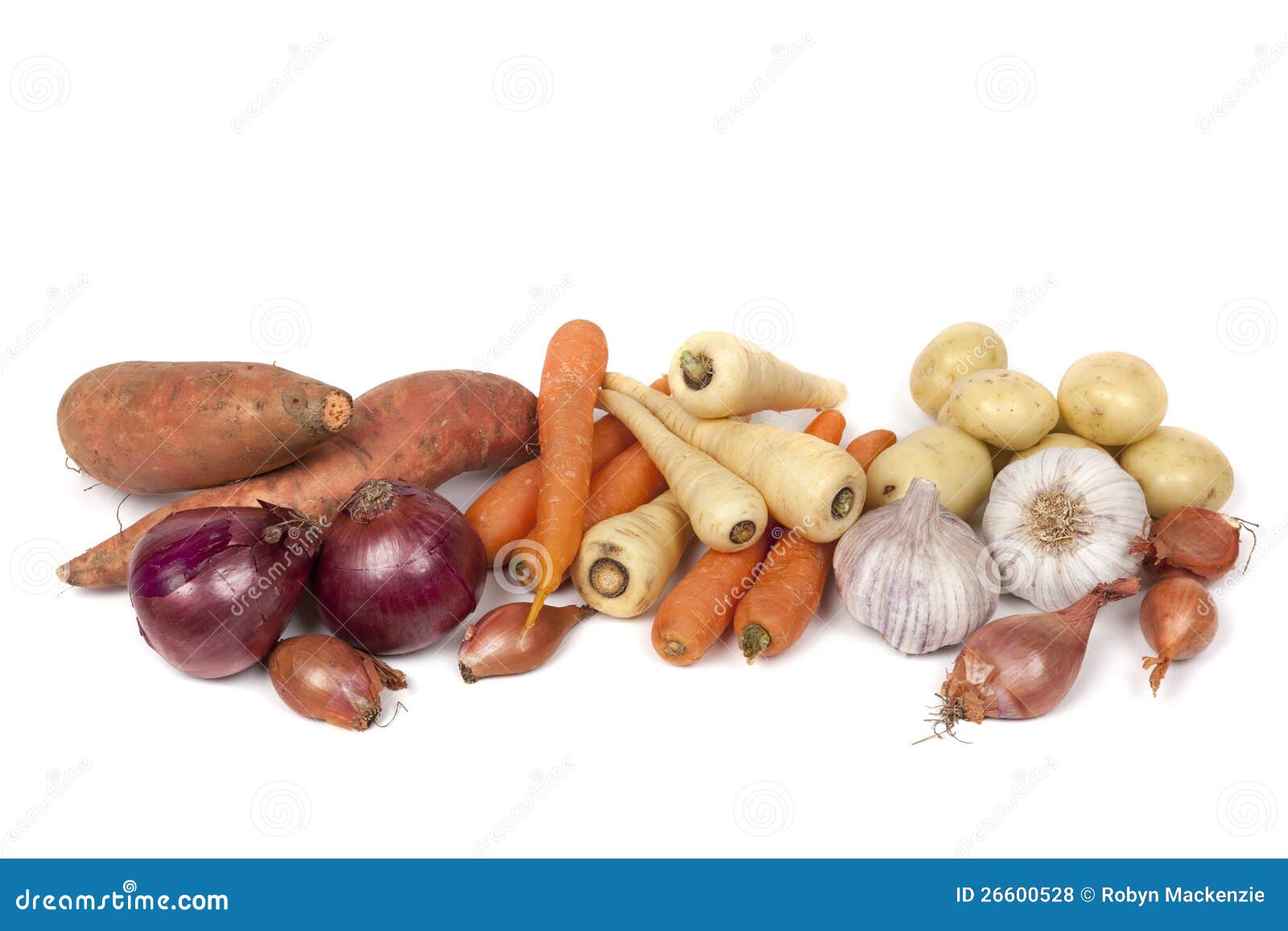 Root Vegetables on White stock photo. Image of food, uncooked - 26600528