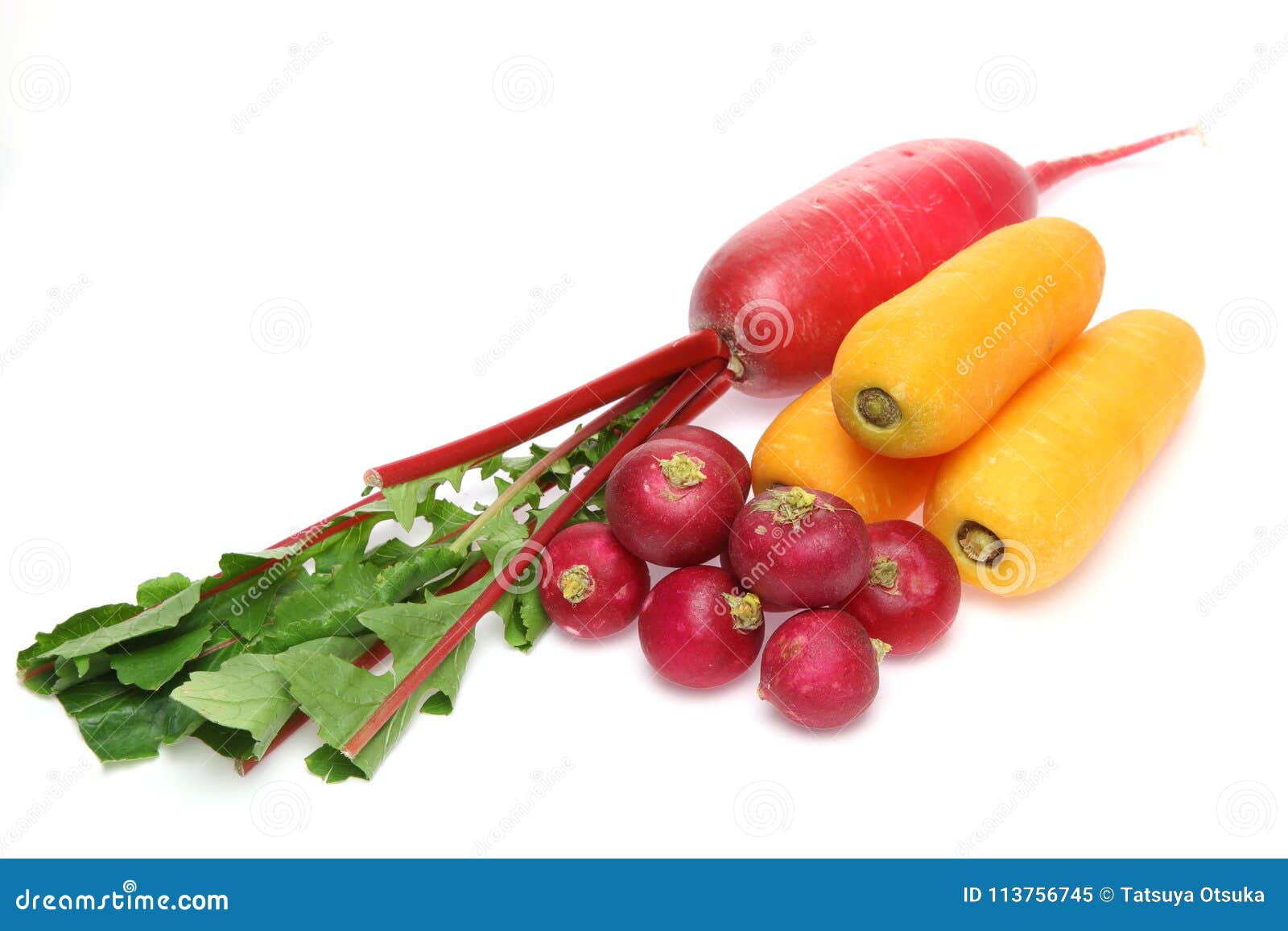 Root Vegetables in a White Background Stock Image - Image of isolated ...