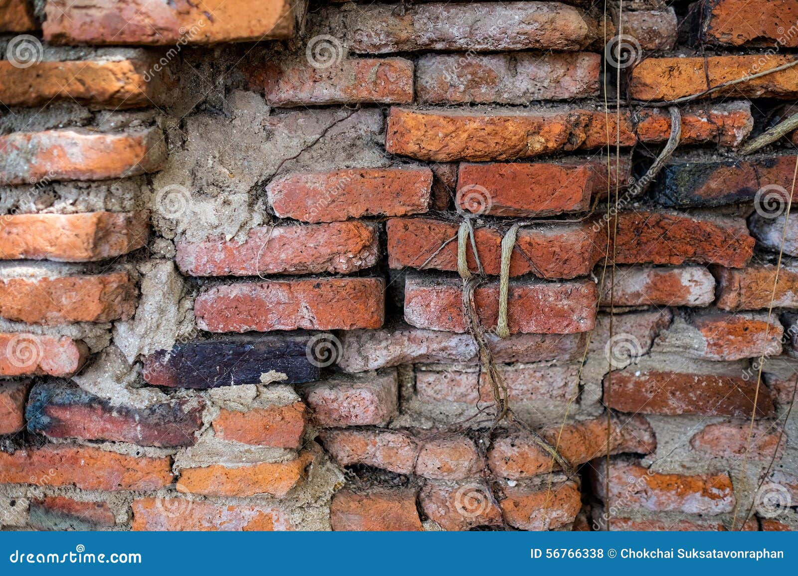 The root wall. stock photo. Image of outdoor, defense - 56766338
