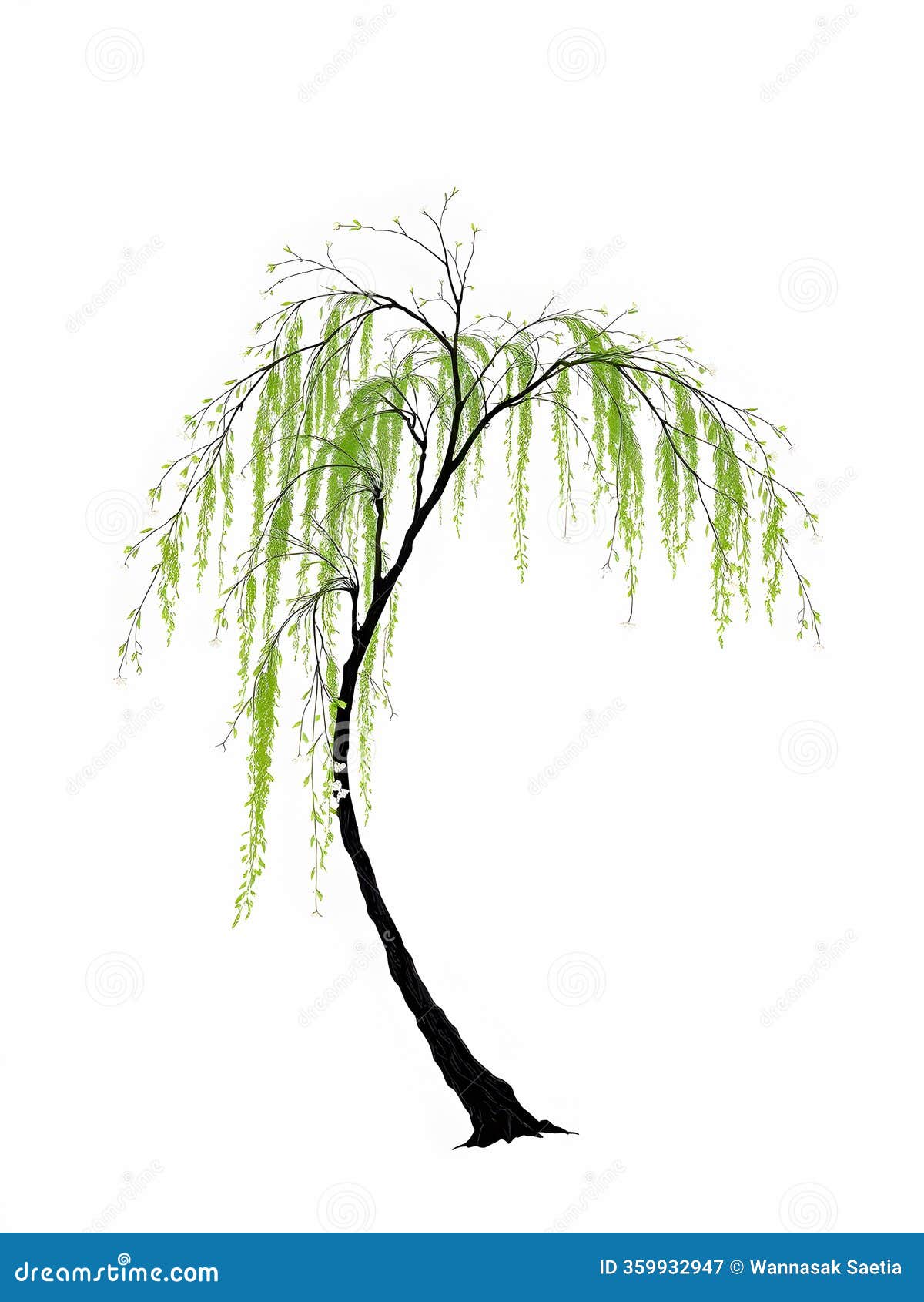 A Rooted Tree Silhouette Isolate on White Background Stock Illustration ...