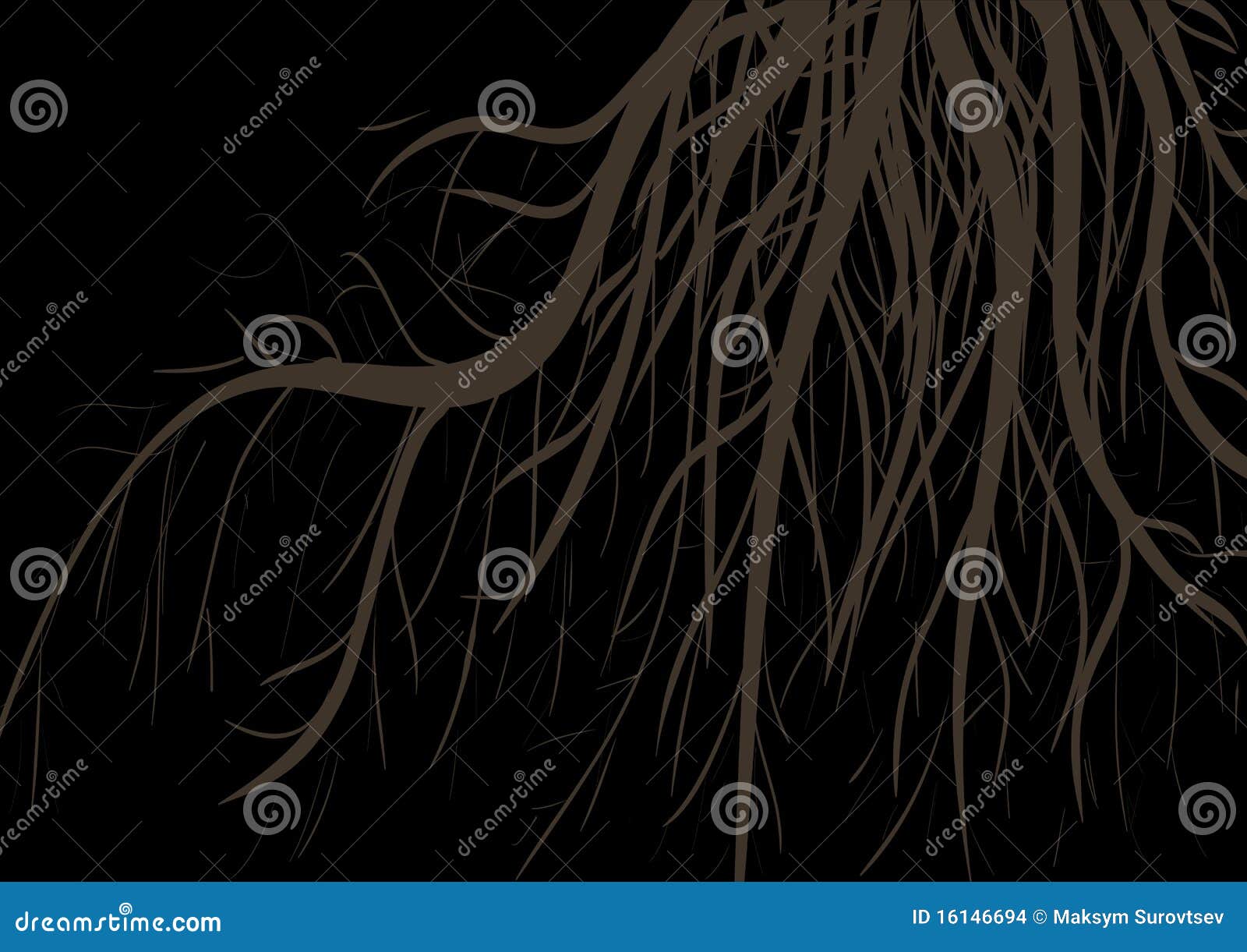 Prop Roots Stock Illustrations – 8 Prop Roots Stock Illustrations ...