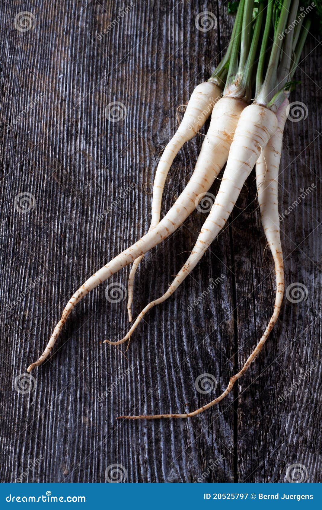 Roots stock image. Image of four, cook, background, wood - 20525797