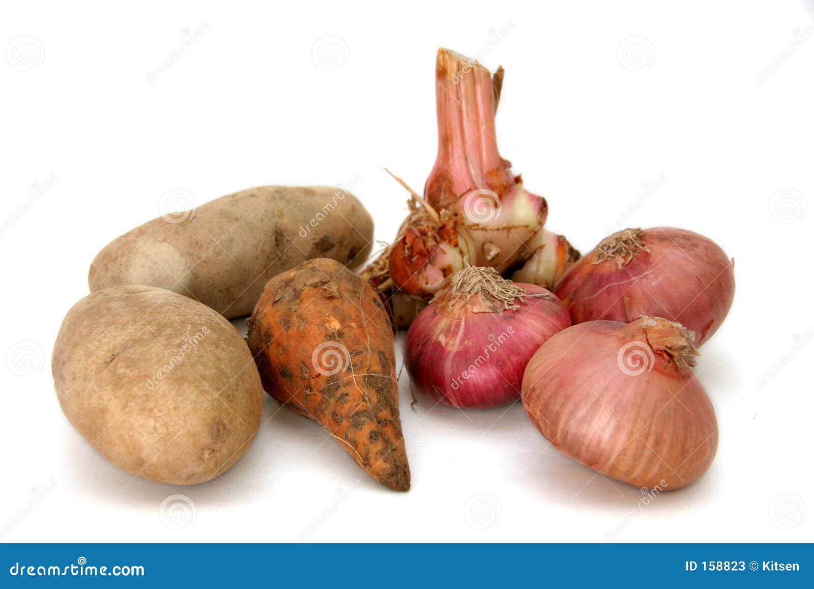 Roots, bulbs & tubers stock image. Image of food, flavor - 158823
