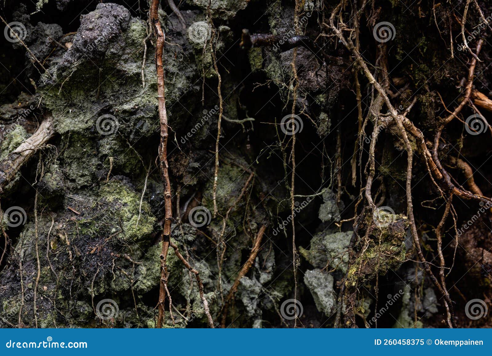 Roots and Dark Mud Background Stock Image - Image of grunge, green ...