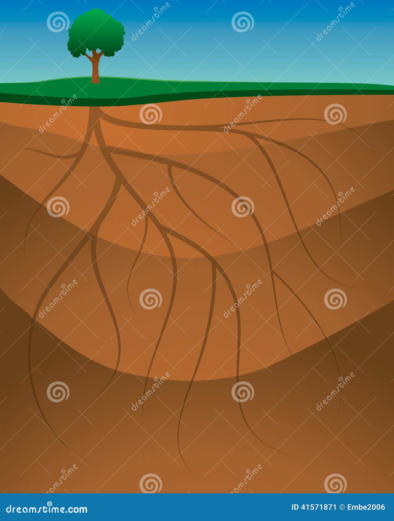 Roots Ground Background Stock Illustrations – 1,098 Roots Ground ...