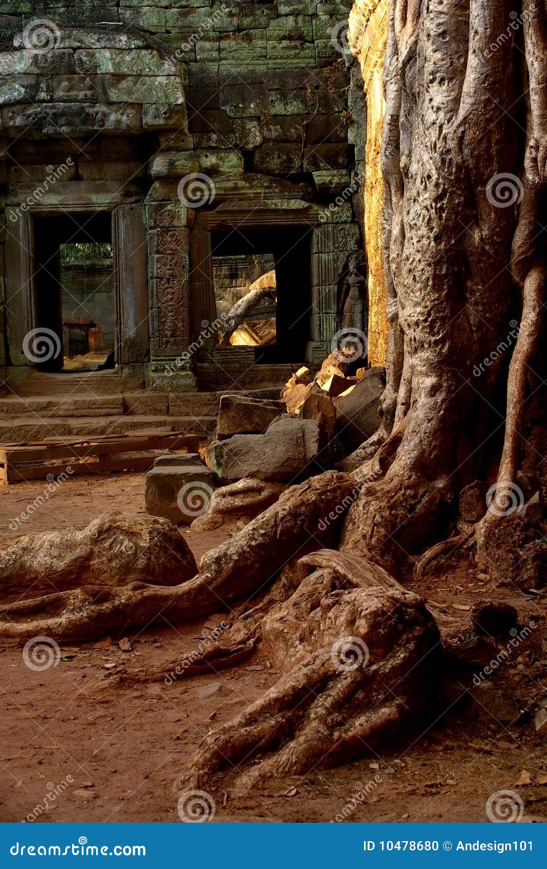 Roots and ruins stock photo. Image of archaeology, asia - 10478680