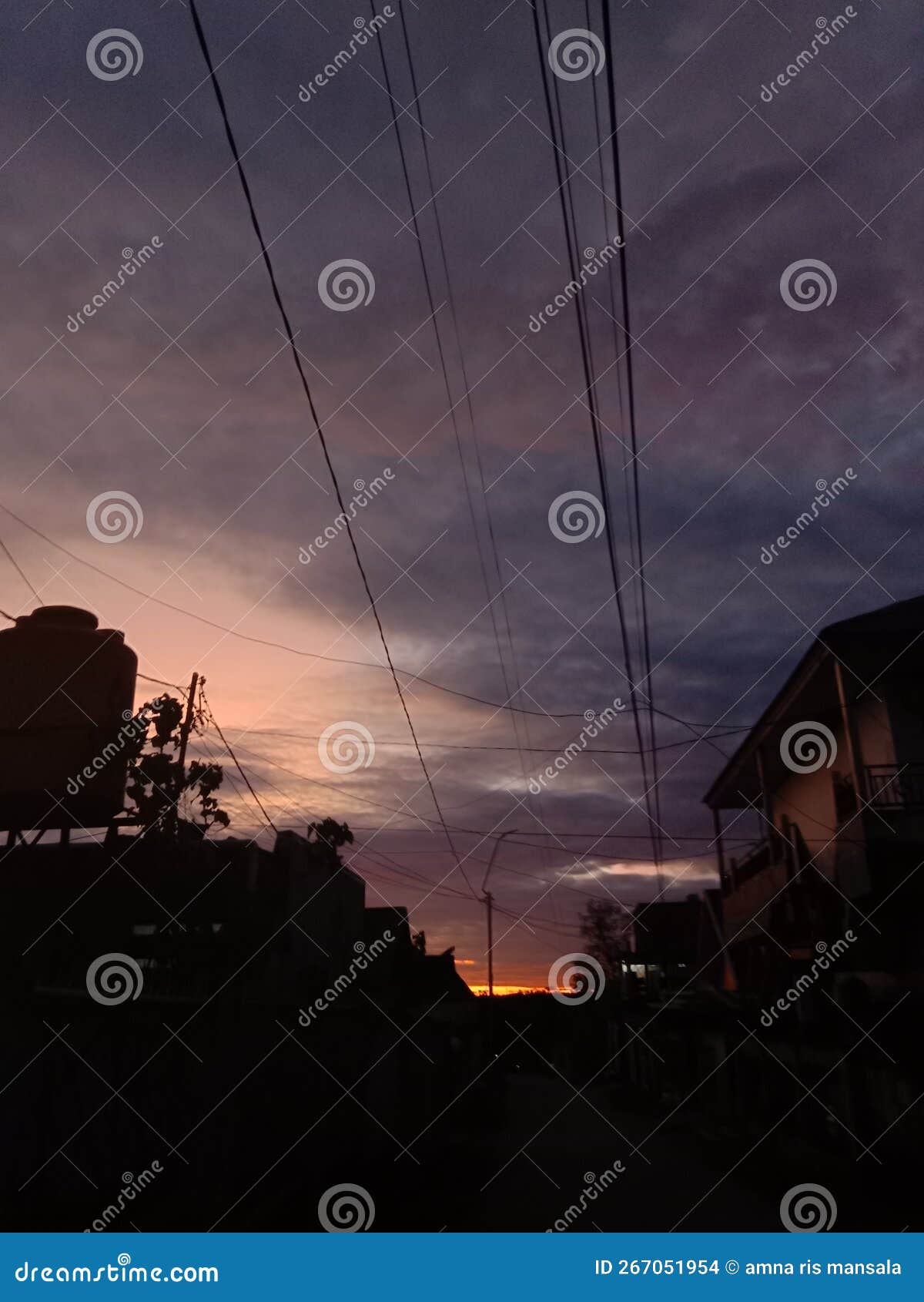 The Roots of the Sky and the Fading Twilight Stock Photo - Image of ...