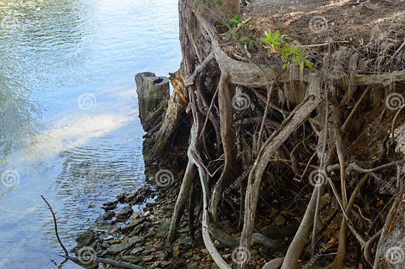 Canal water line stock photo. Image of south, photographer - 110770464