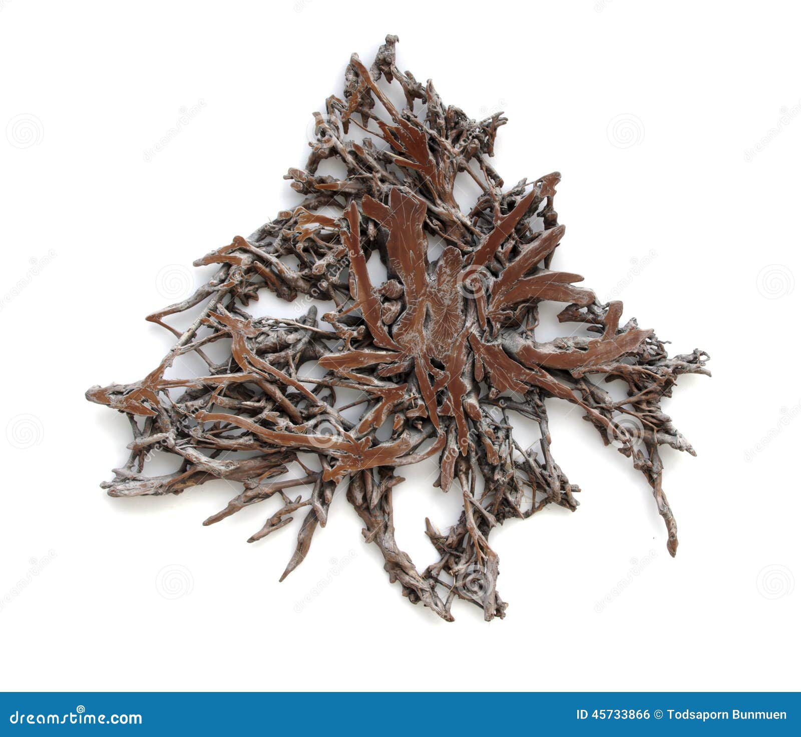 Roots Tree Isolated on a White Background Stock Photo - Image of life ...