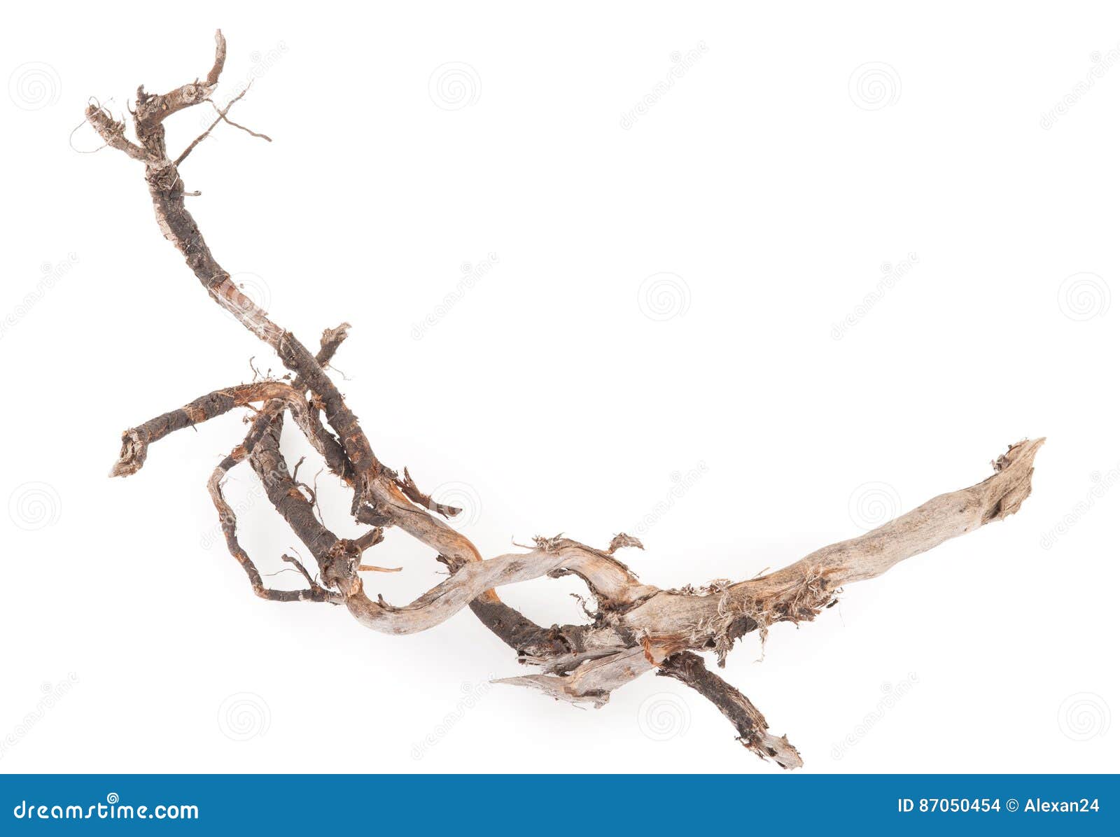 Roots tree stock photo. Image of organic, grow, complete - 87050454