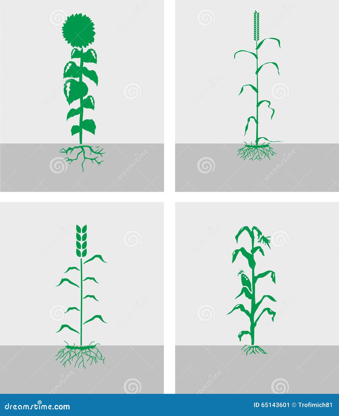 Field Of Crops Destroyed By Drought. Generative AI Royalty-Free Stock ...