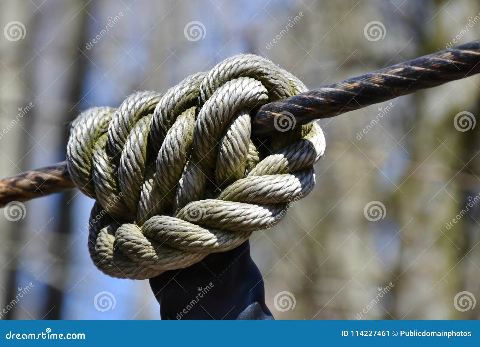 Rope Picture. Image: 114227461