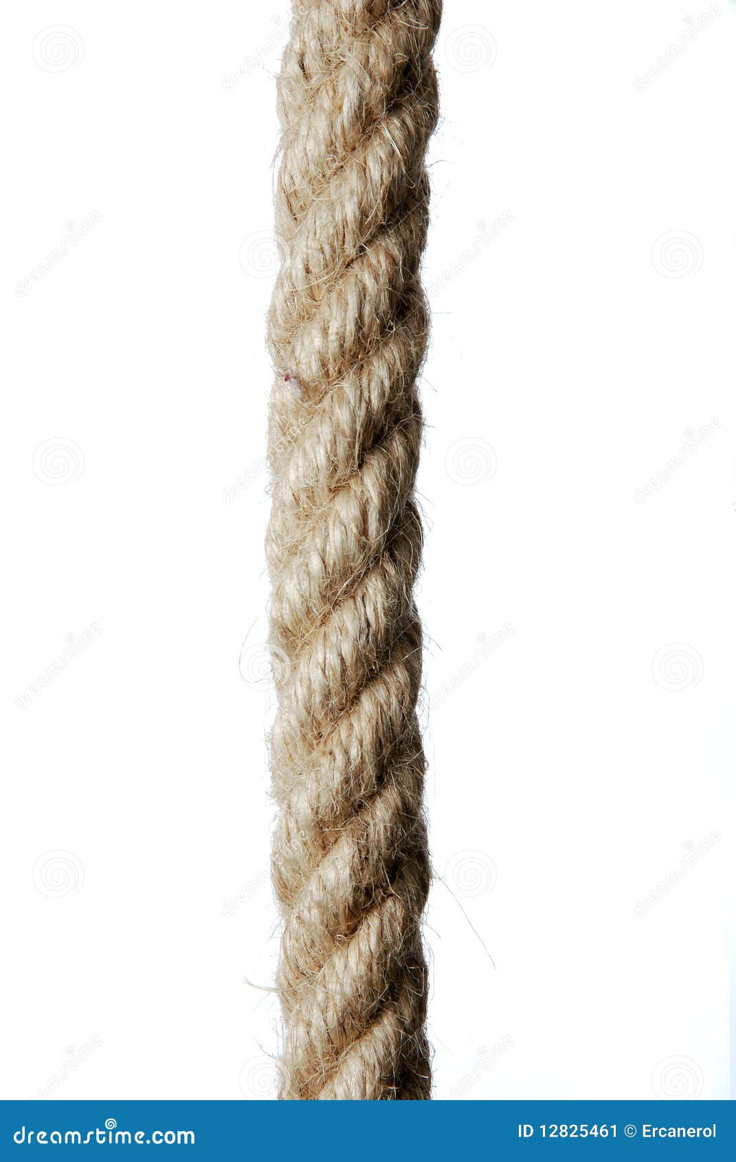 Rope on white stock image. Image of thick, natural, cable - 12825461
