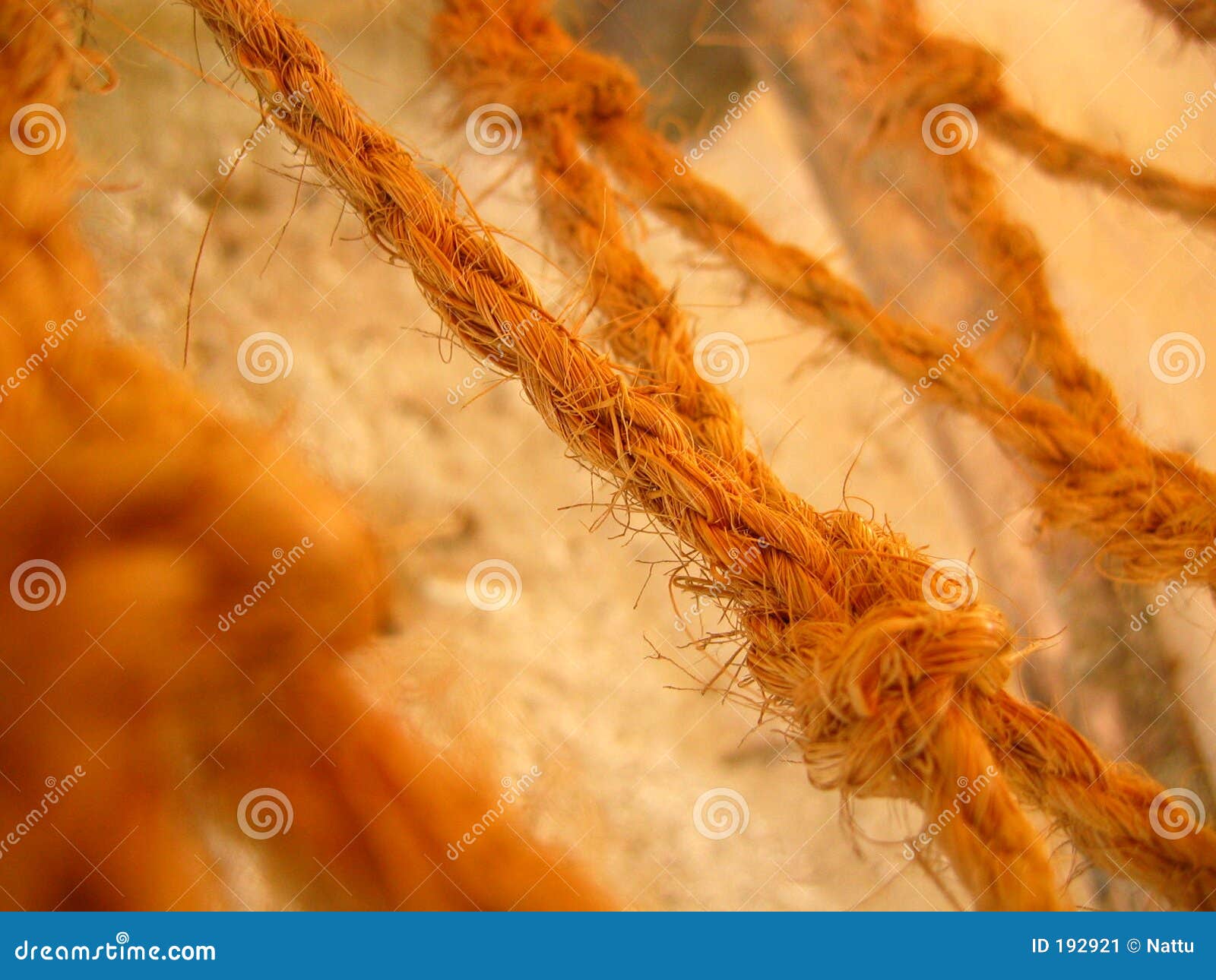 Rope stock image. Image of coconut, ropes, maldivian, mades - 192921
