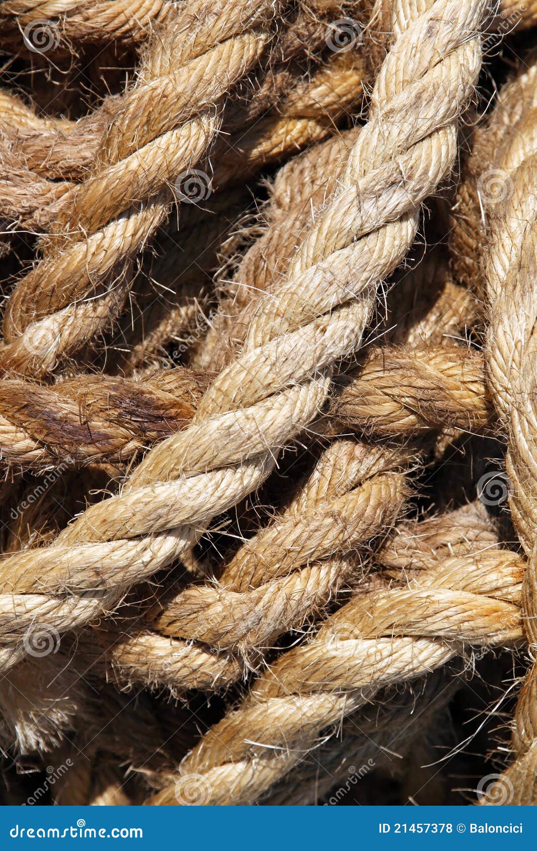 Rope stock photo. Image of lines, bunch, strong, lasso - 21457378