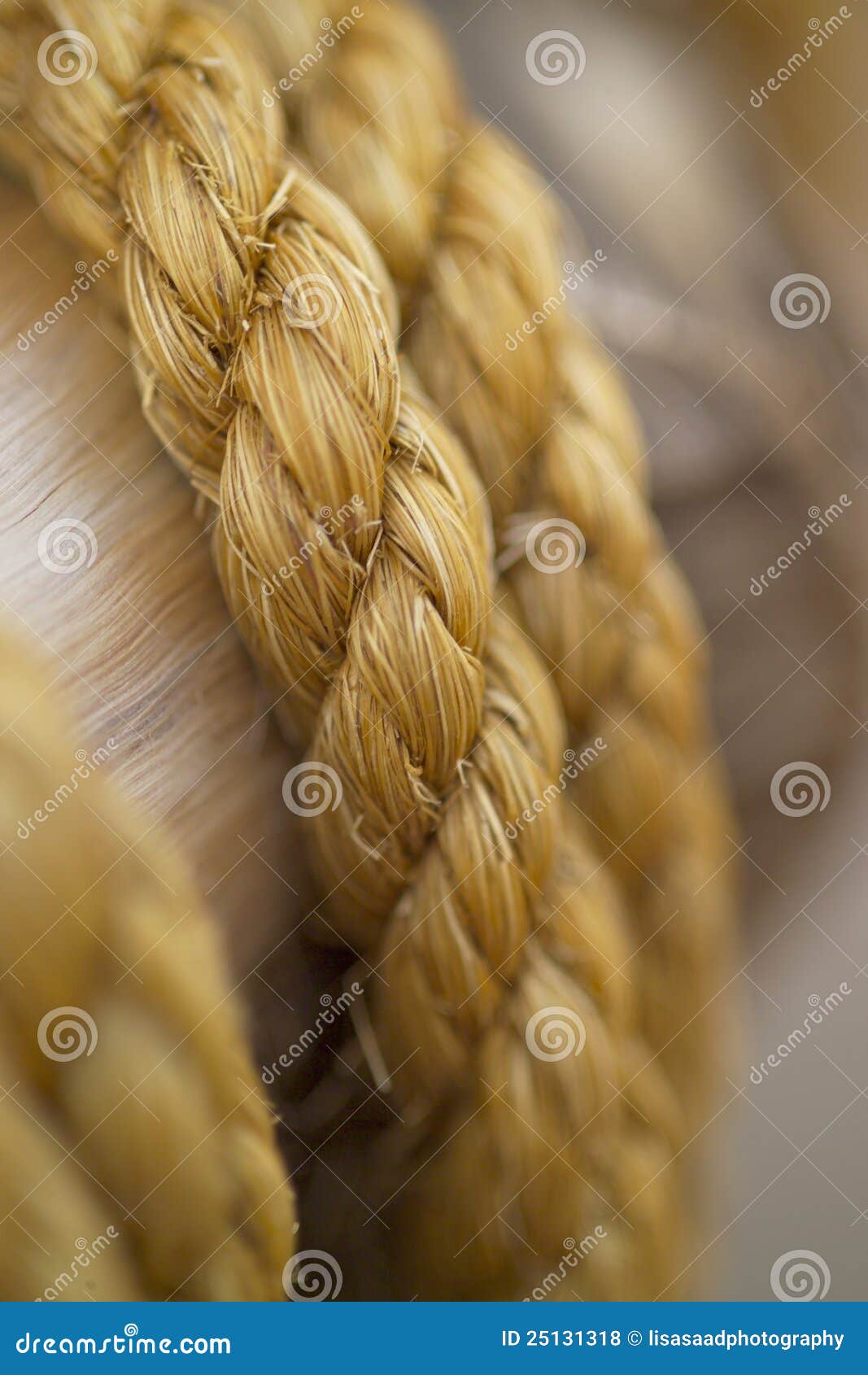 Rope stock photo. Image of thread, weaved, closeup, commodity - 25131318