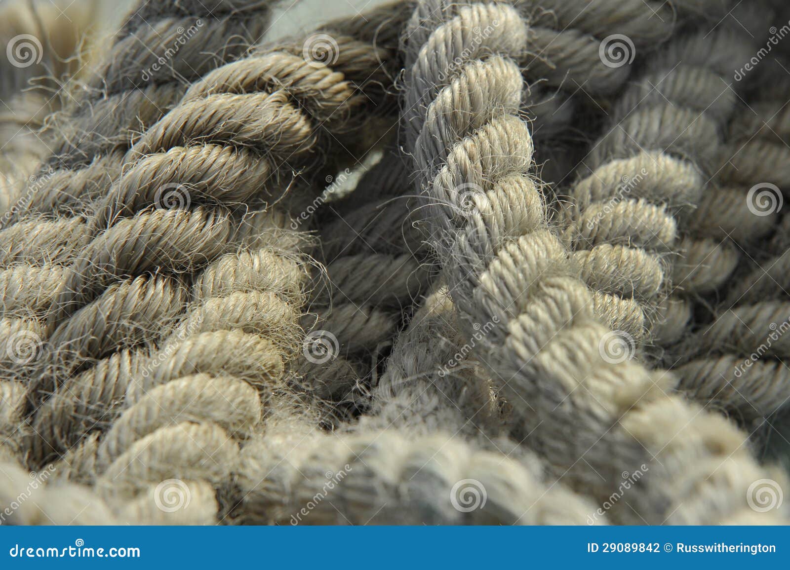 Rope stock photo. Image of tangle, chord, rope, wound - 29089842