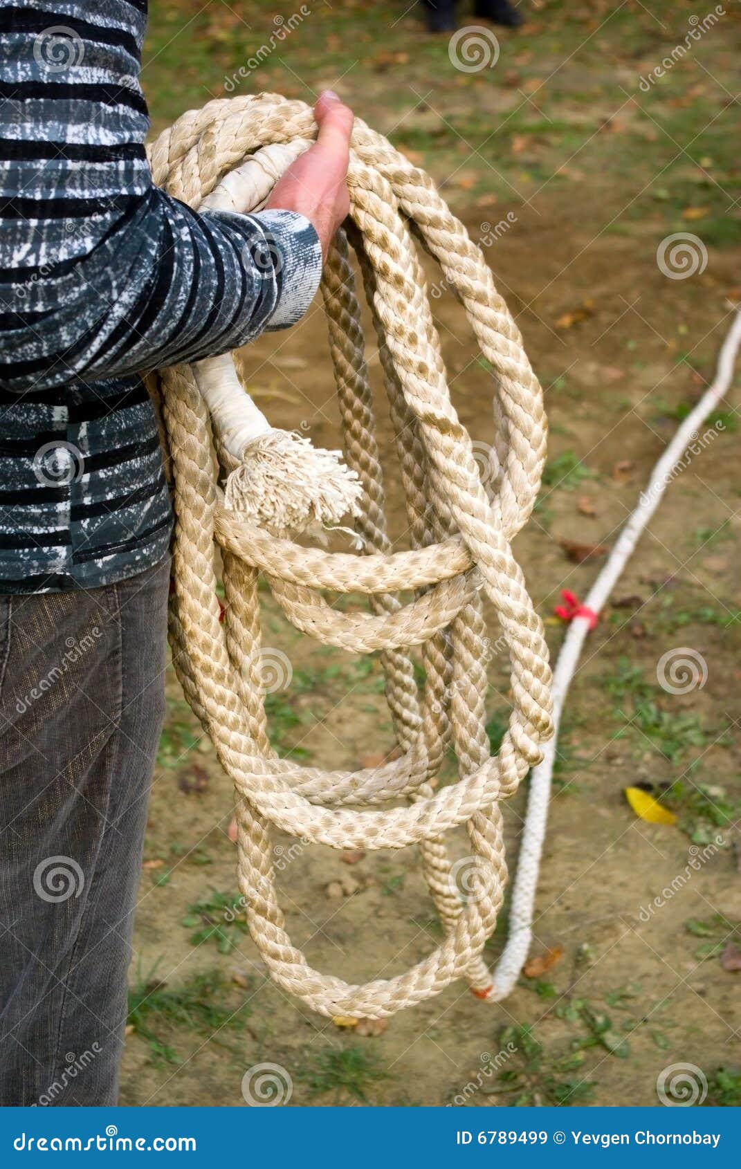 Rope stock image. Image of nature, used, hold, strong - 6789499