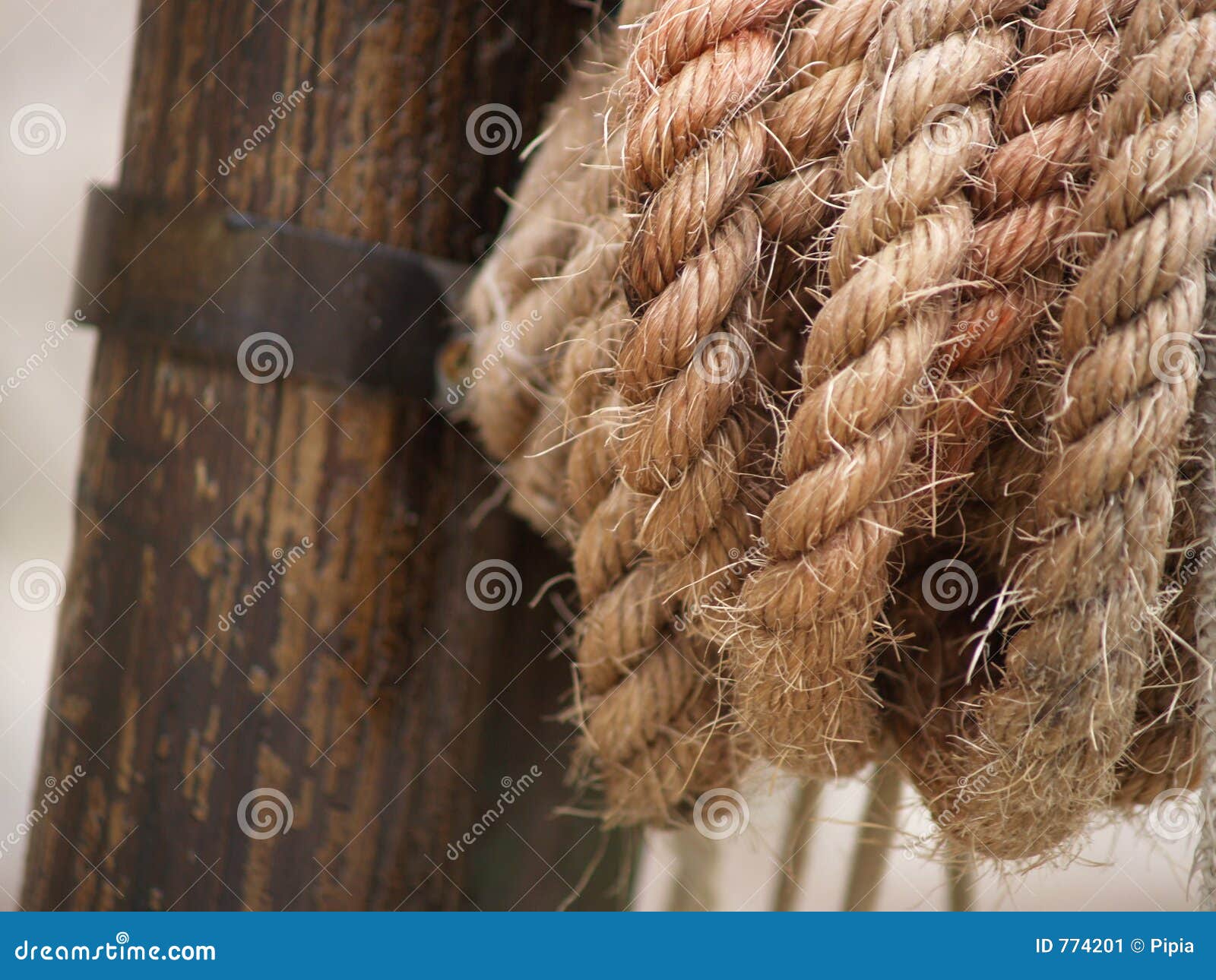 Rope stock image. Image of grain, wooden, rope, string - 774201