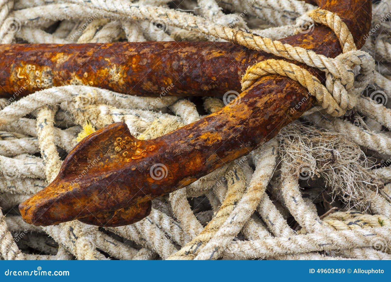 Rope and Anchor Fluke at Mudeford Quay Stock Image - Image of mudeford ...