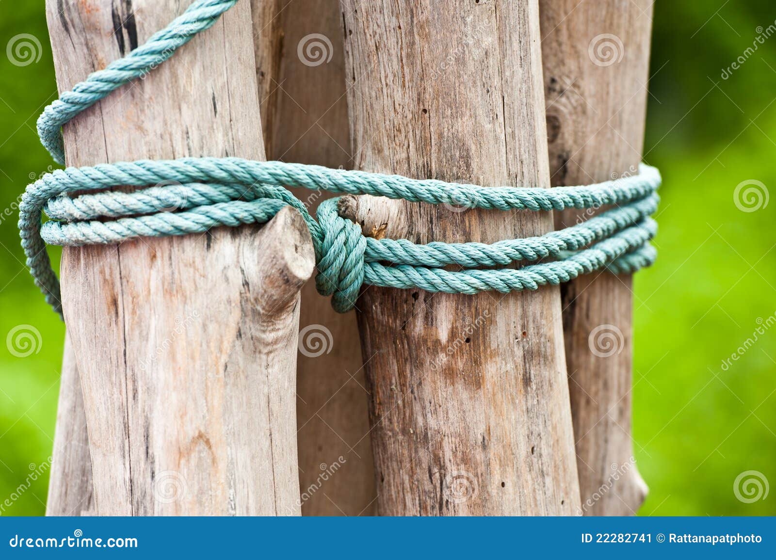Rope around log stock image. Image of hardwood, concepts - 22282741