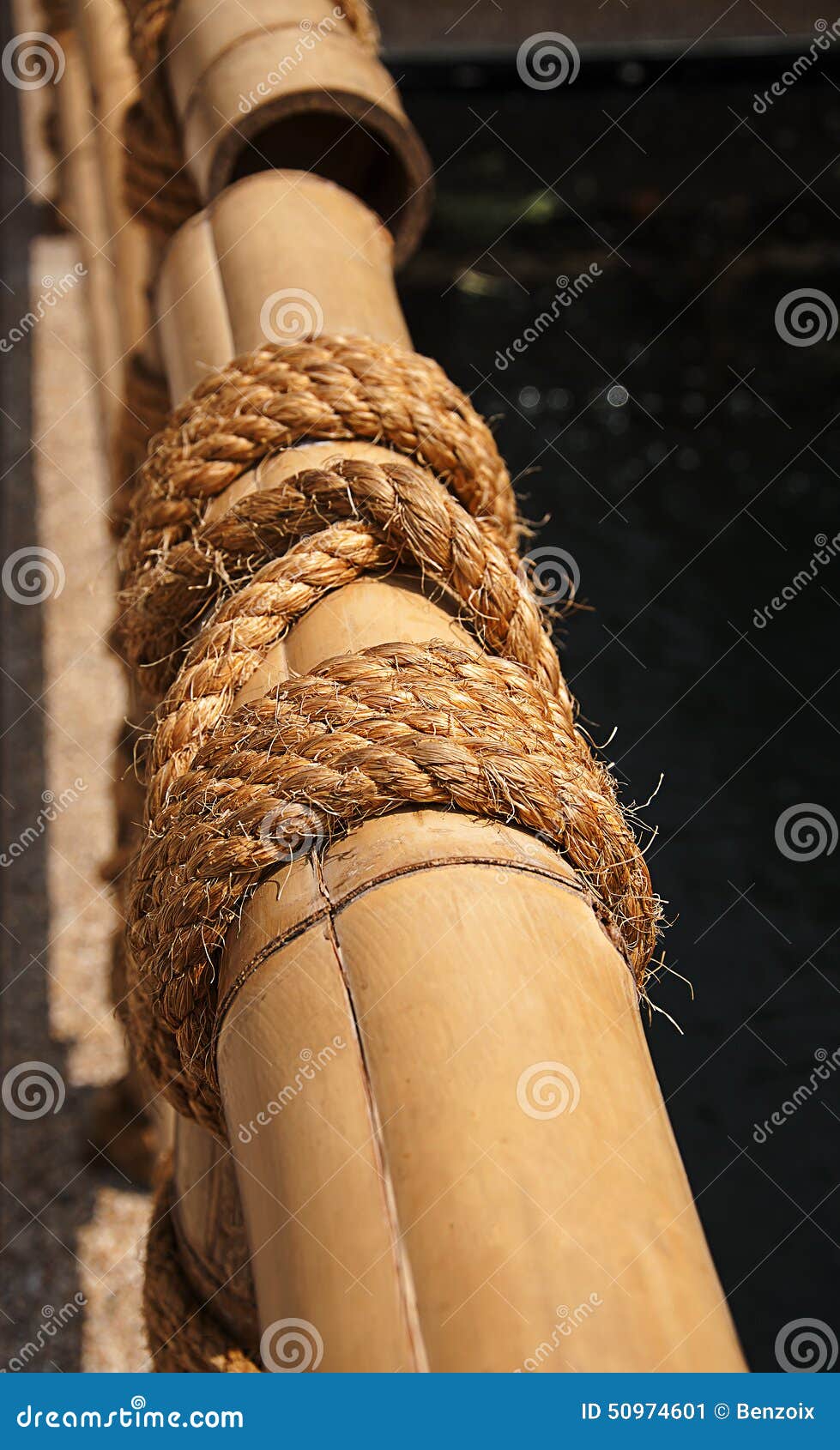 Rope on bamboo bridge stock image. Image of closeup, daytime - 50974601