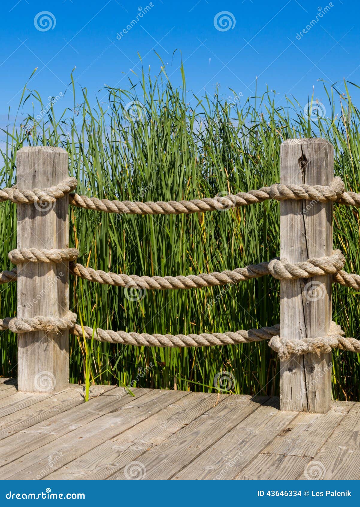 Rope banister stock photo. Image of wood, rail, reeds - 43646334