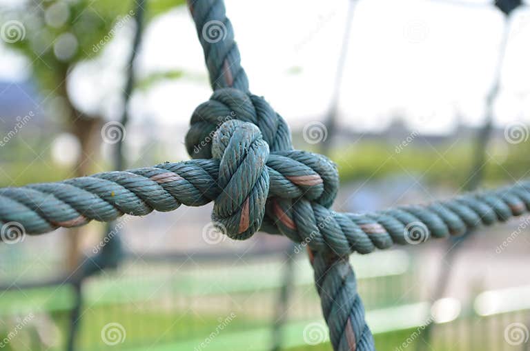 Rope binding stock photo. Image of connect, knot, macro - 31115846