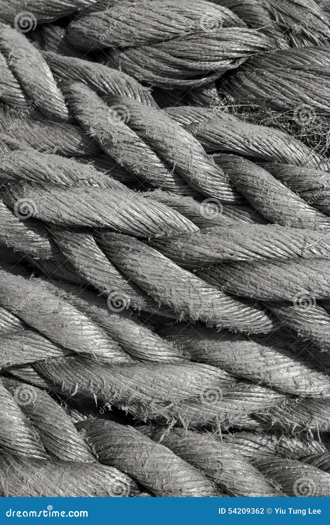 Rope stock photo. Image of moor, copyspace, sailing, deck - 54209362