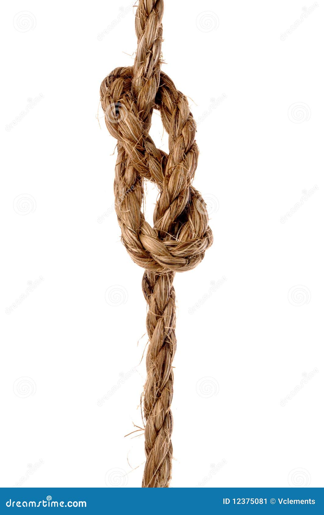 Rope in a Bow Knot on White Stock Image - Image of white, strong: 12375081