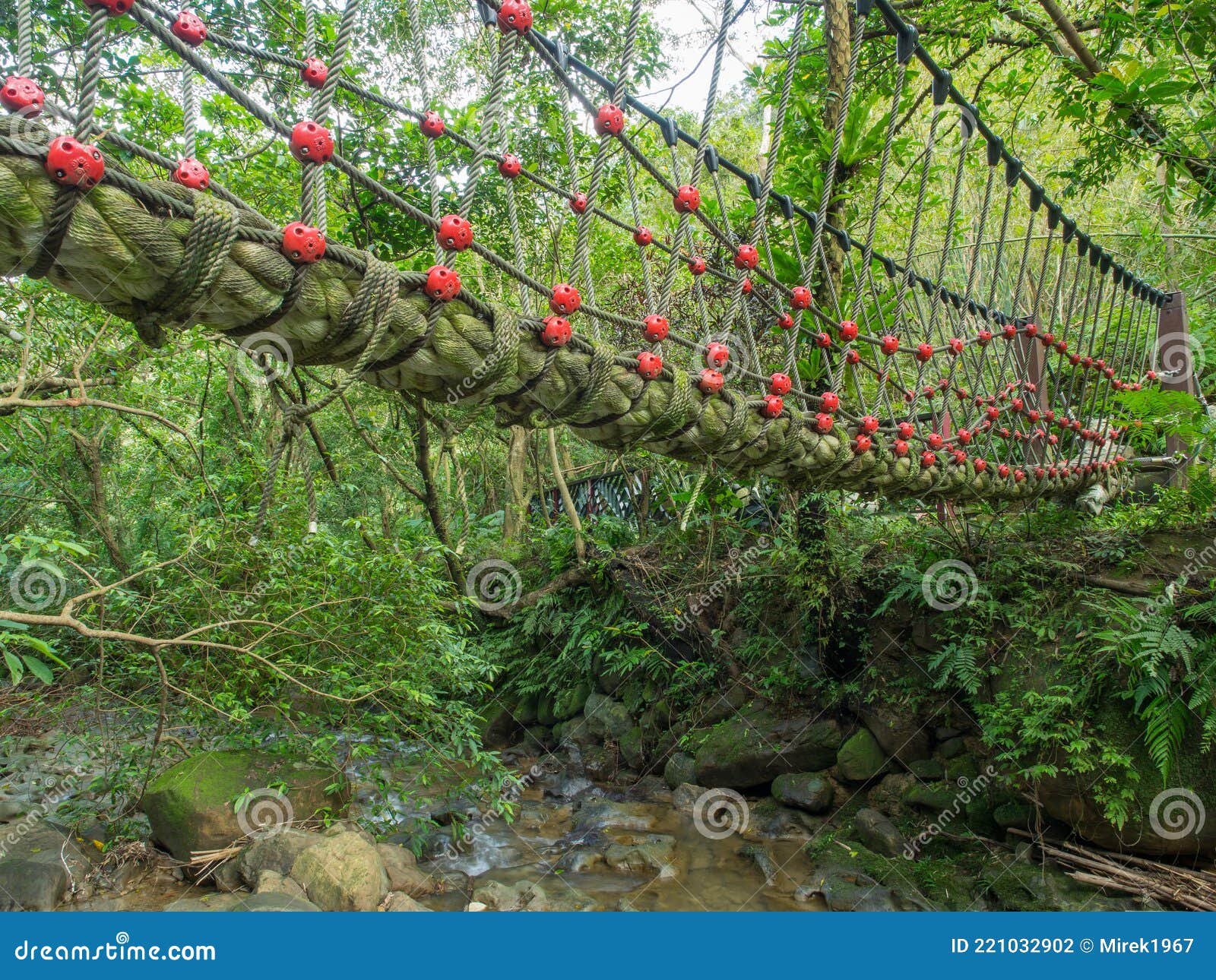 Rope bridg stock photo. Image of hover, calm, wire, cordage - 221032902