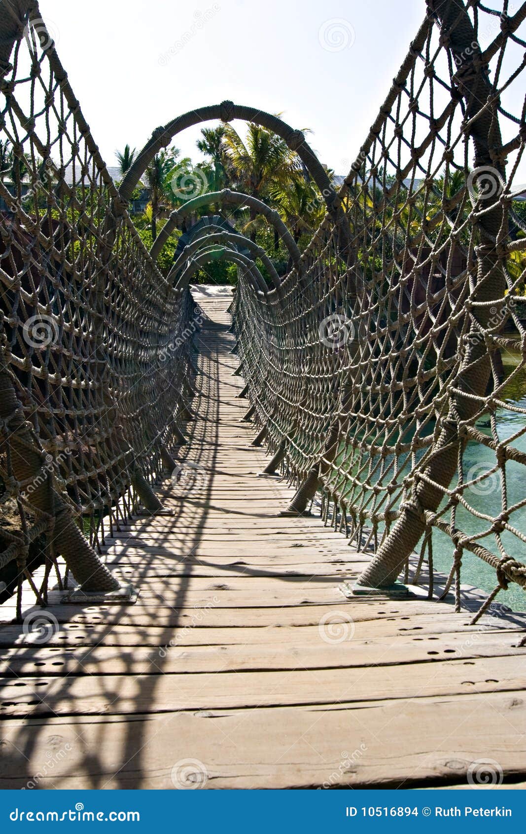 Rope Bridge stock photo. Image of walkway, path, tropical - 10516894