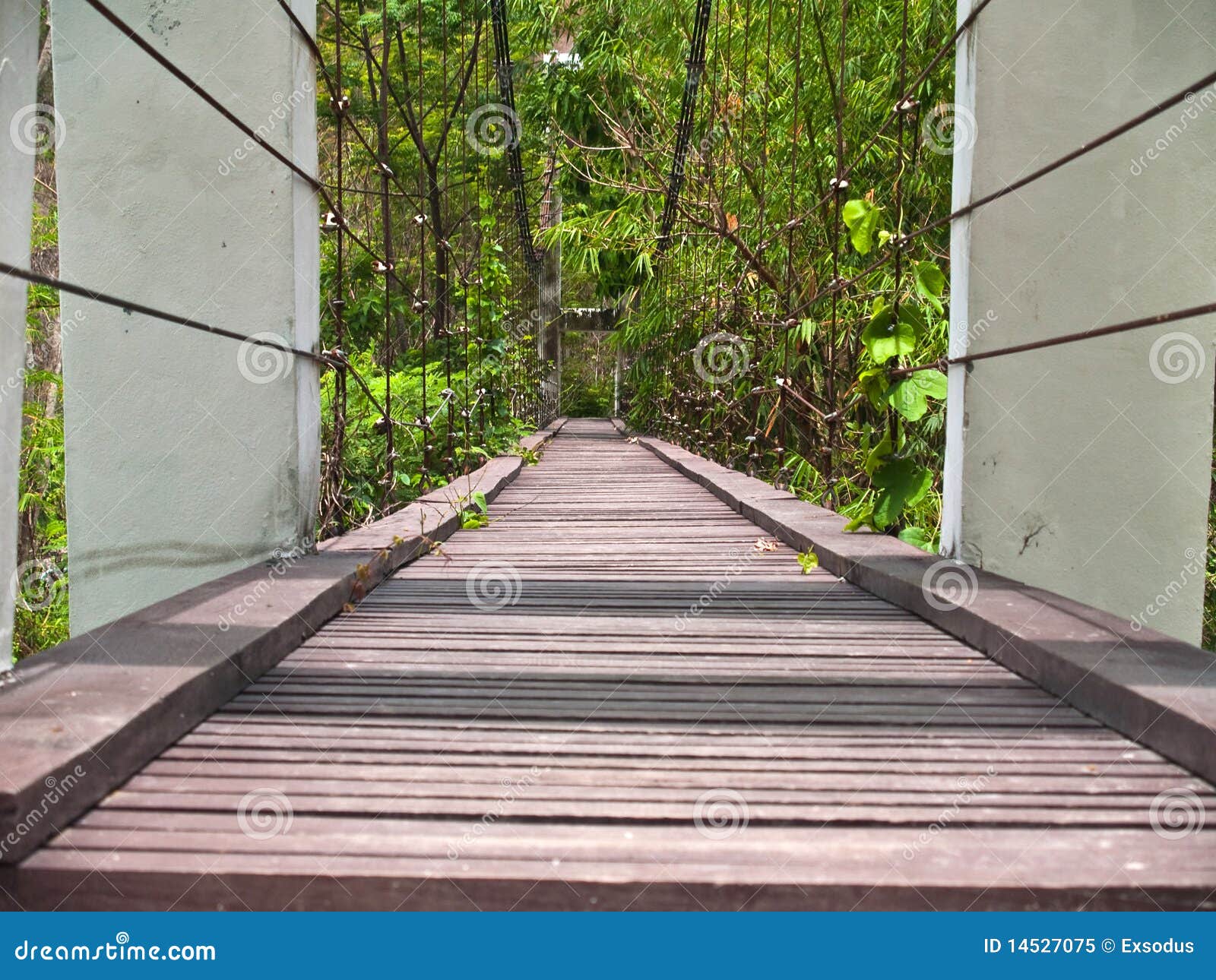 Rope bridge stock image. Image of cross, iron, wire, rope - 14527075